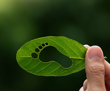 Carbon Footprint: Set a Baseline & Track Decarbonization - ESG OWL